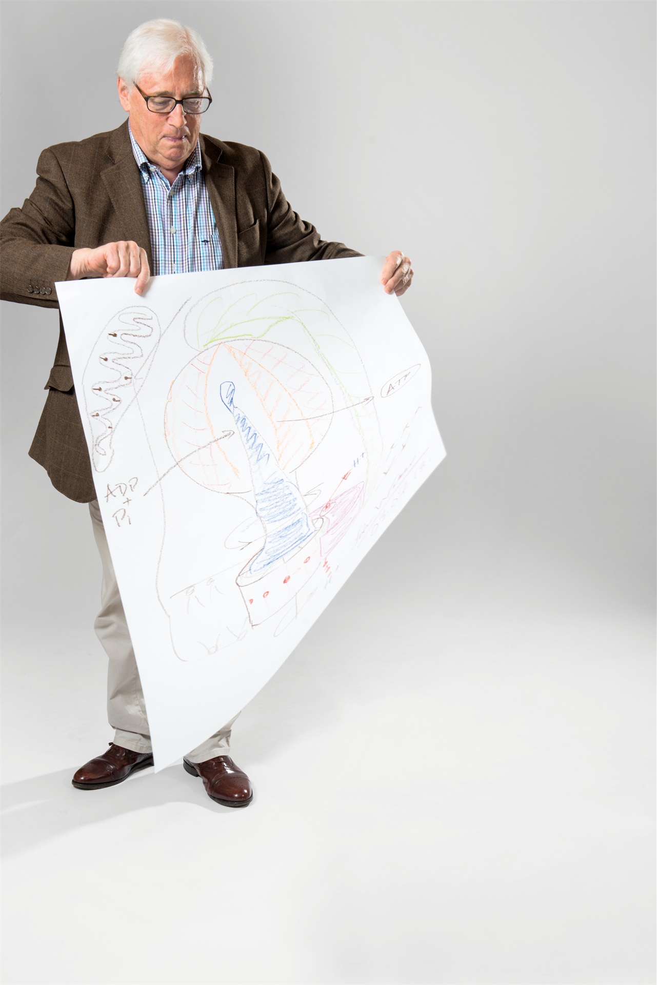 Laureate - Sir John E. Walker